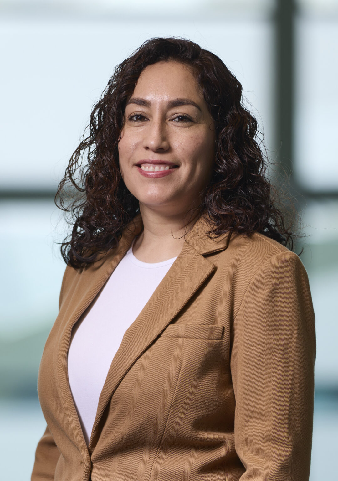 About | Center for Business and Economic Research | UNLV